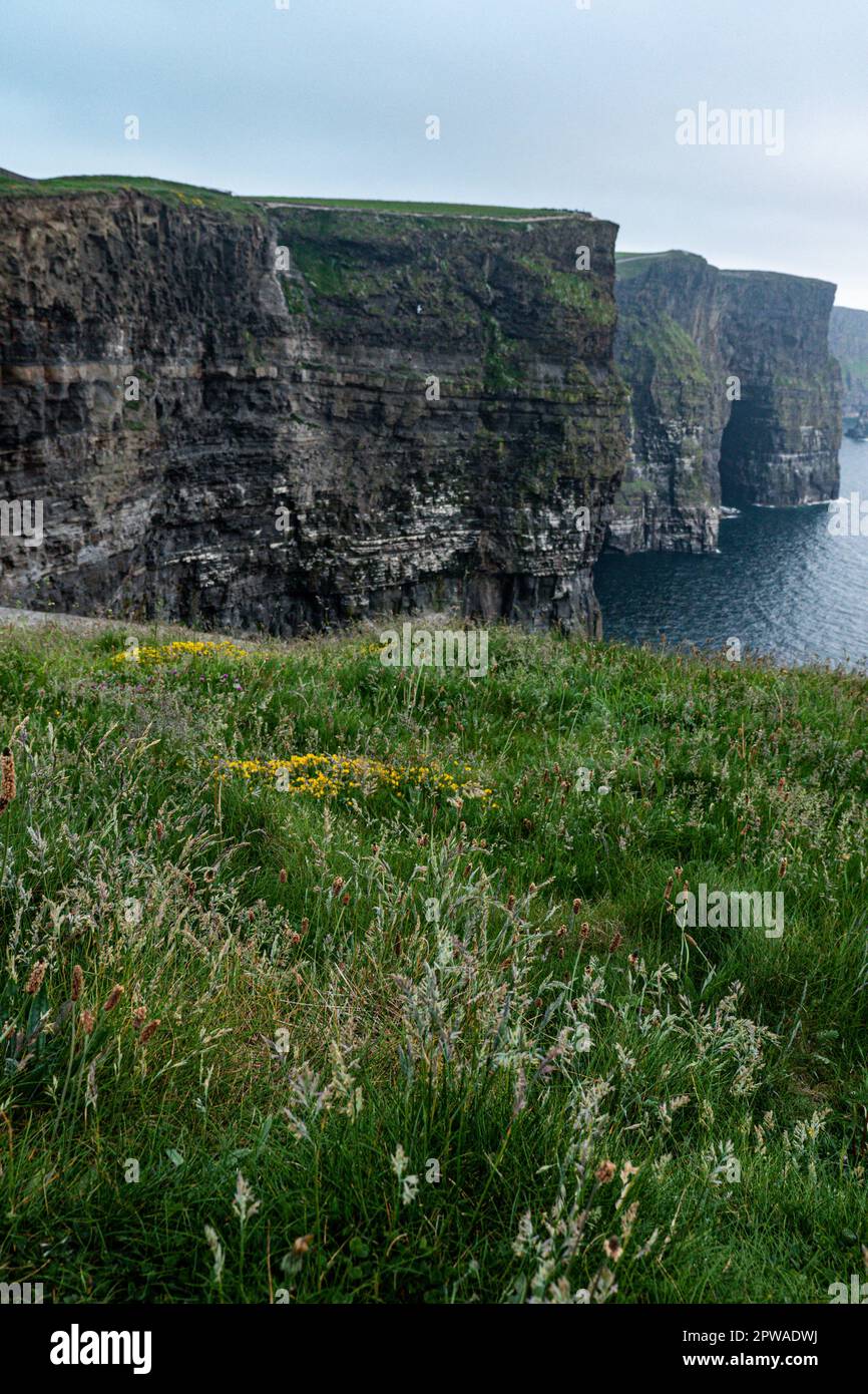 Cliffs of Moher are located on the Rugged west Clare Coast in Ireland ...