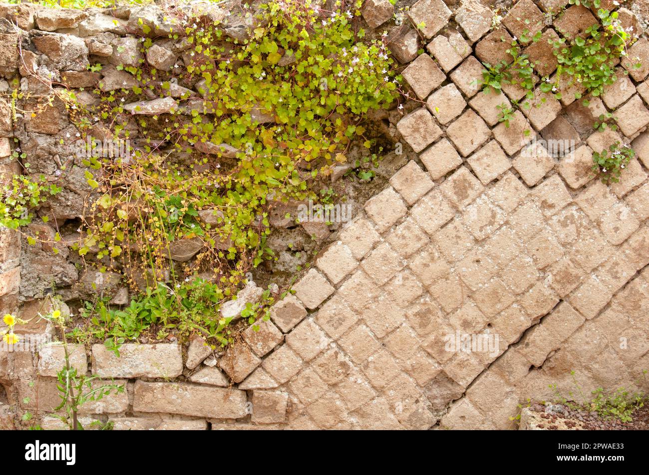 Detail of a wall inside the Adrian's Villa archeological place (Tivoli ...
