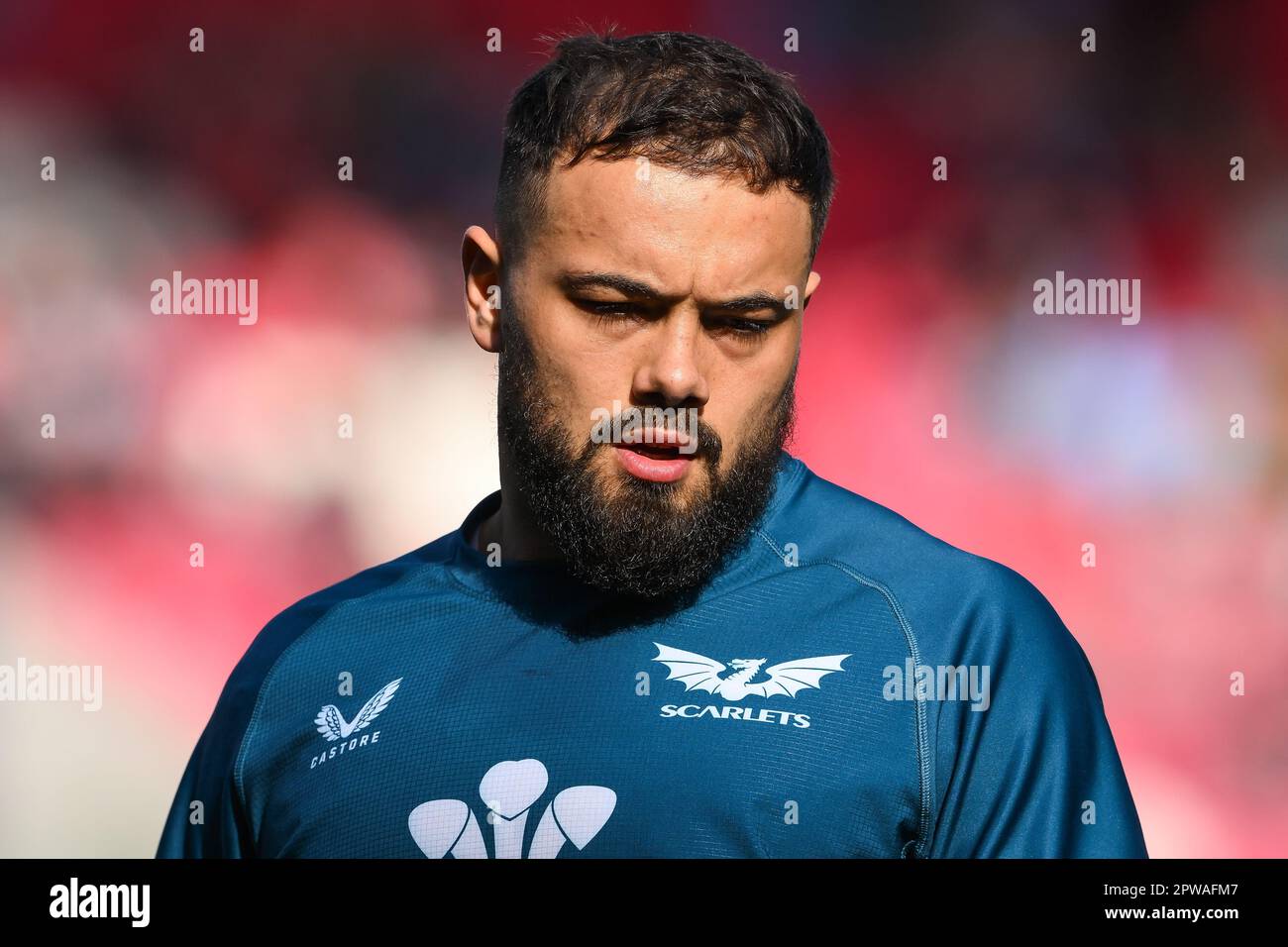 Sam costelow scarlets rugby hi-res stock photography and images - Alamy