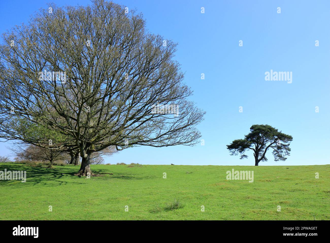 Scenic landscape in the Kent countryside Stock Photo - Alamy