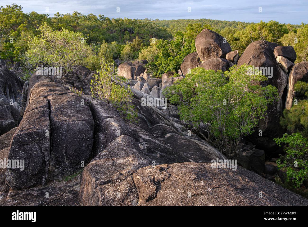 Granite Gorge Nature Park, Mareeba, Queensland, Australia Stock Photo ...