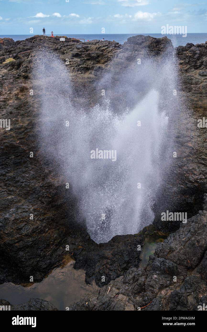 Kiama Blowhole is the largest in the world. Kiama, New South Wales ...