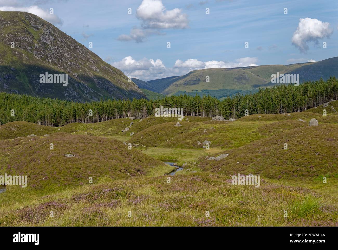 The Fee Burn slowly meandering down Glen Doll from the Corrie floor and ...