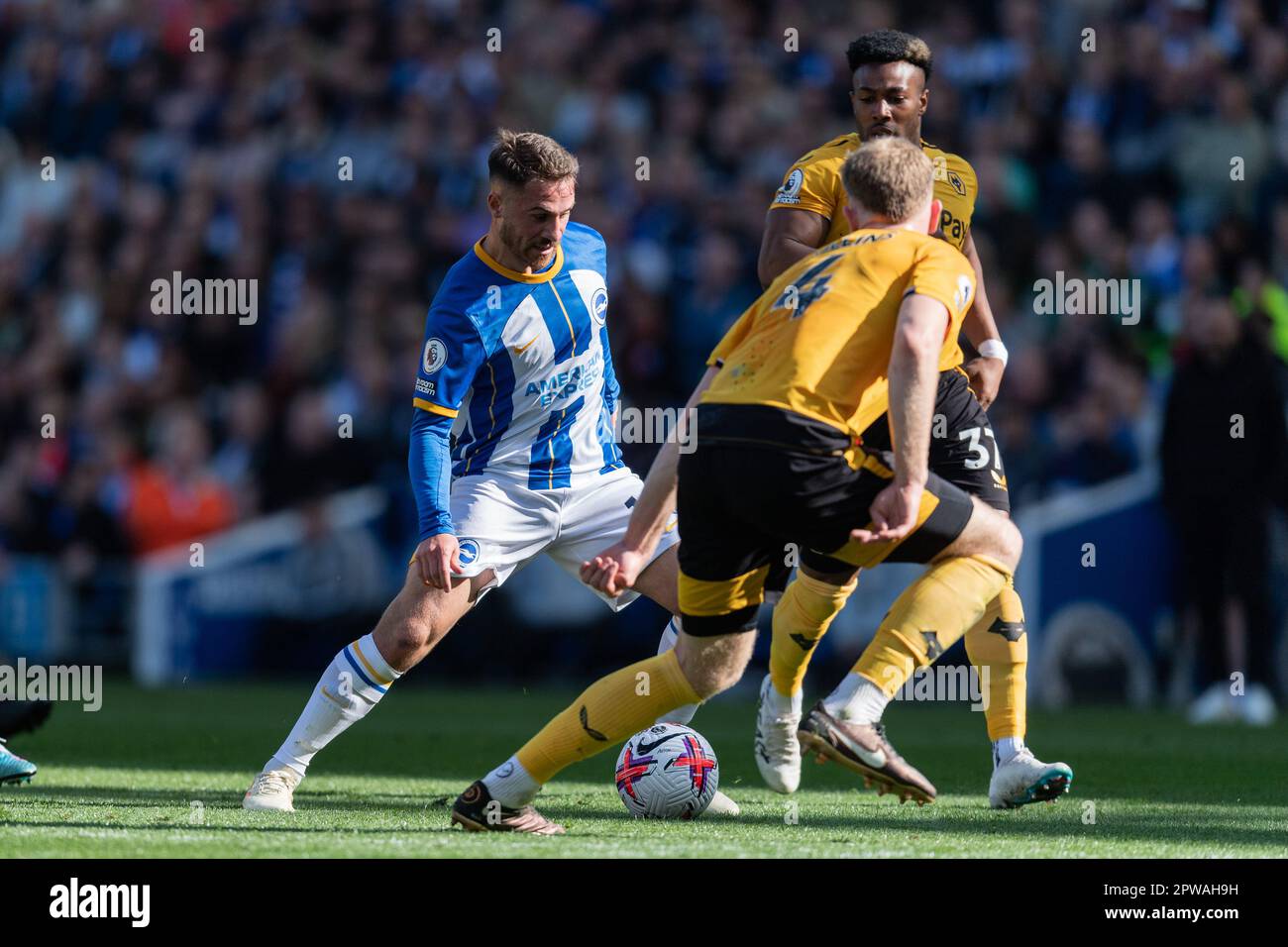 Alexis Mac Allister of Brighton and Hove Albion runs at the Wolves defence during the Premier ...