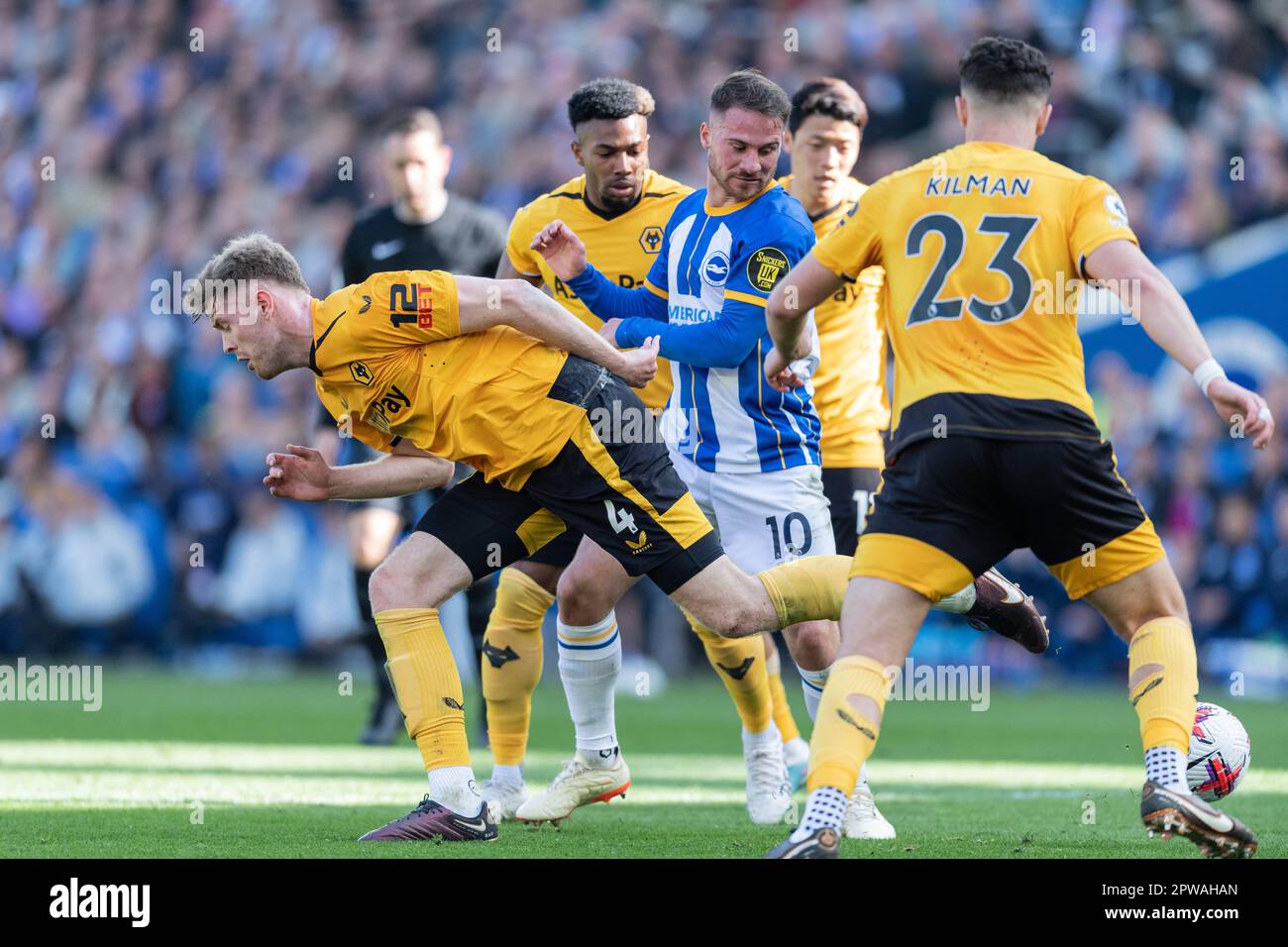 Alexis Mac Allister of Brighton and Hove Albion runs at the Wolves ...