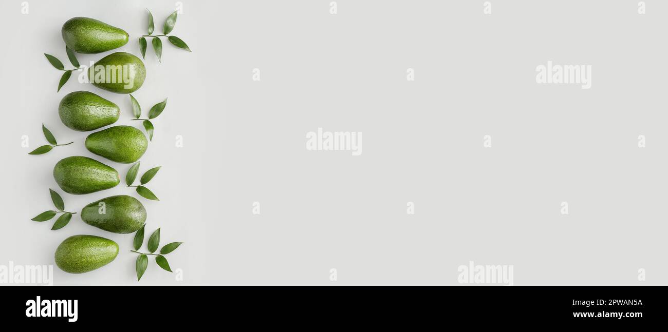 Fresh green avocados with leaves on light background with space for ...