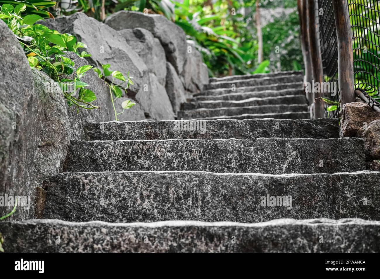 View of beautiful steps in amusement park, closeup Stock Photo - Alamy
