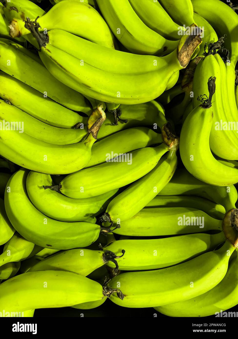 Green bananas as background, closeup Stock Photo - Alamy