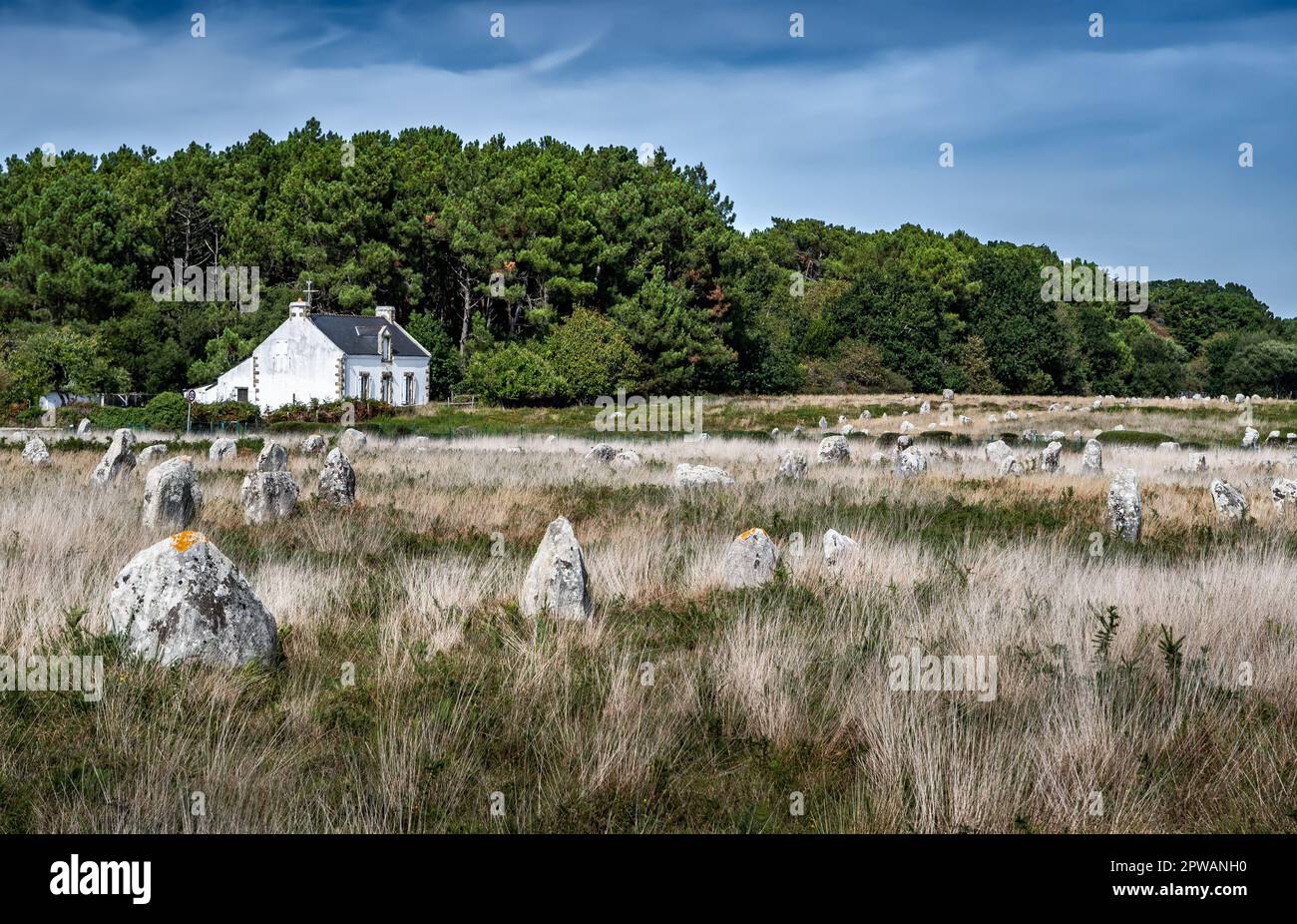 Ancient Stone Field Alignements De Menhir Carnac With Neolithic ...
