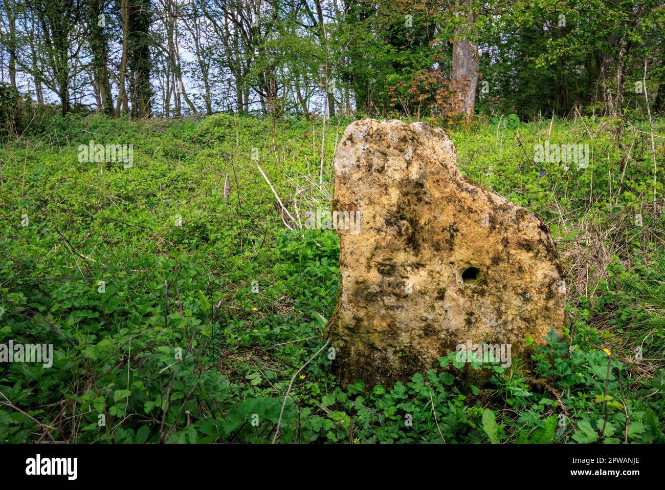 Kiftsgate court hi-res stock photography and images - Alamy