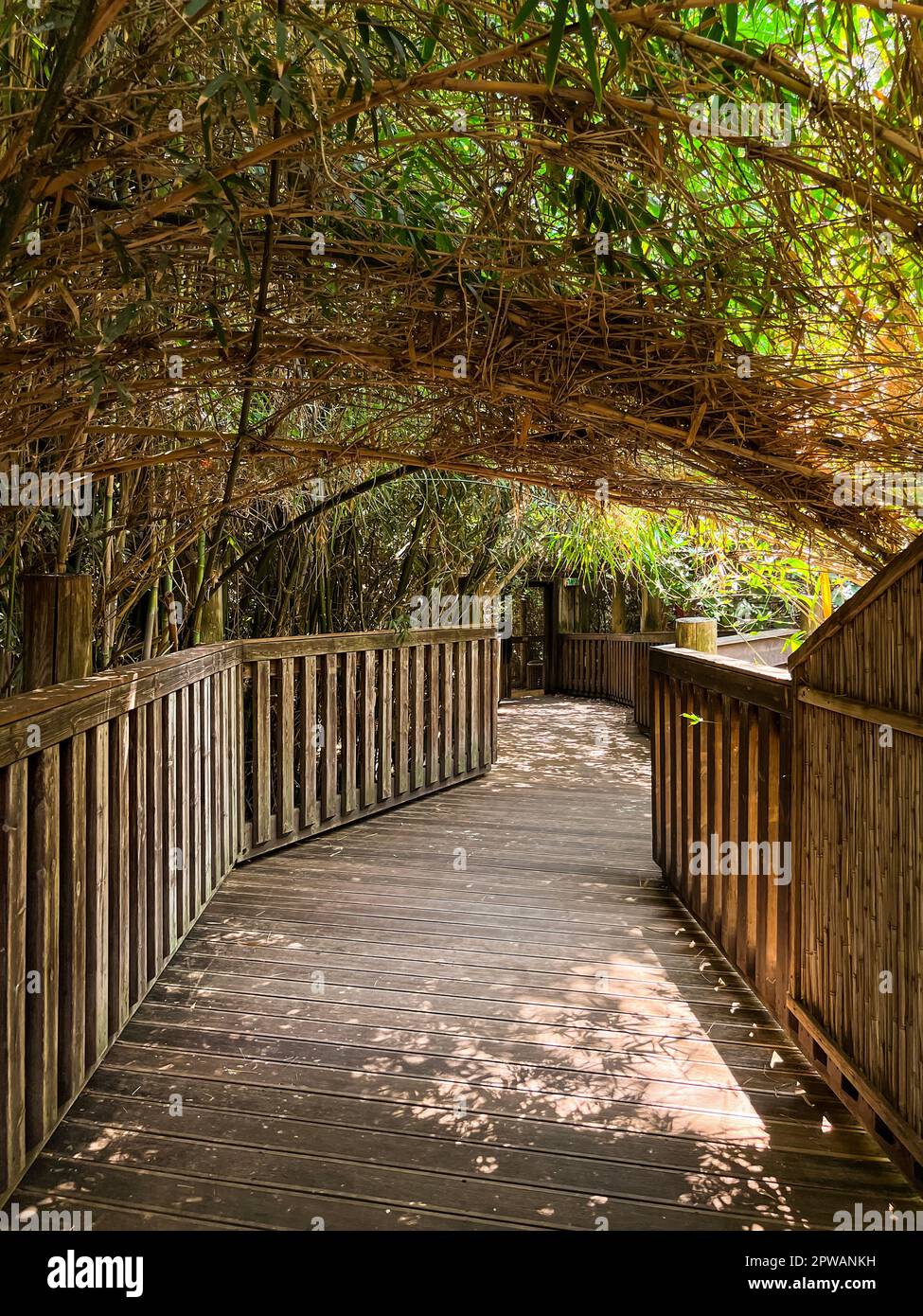 View of beautiful park with pathway Stock Photo - Alamy