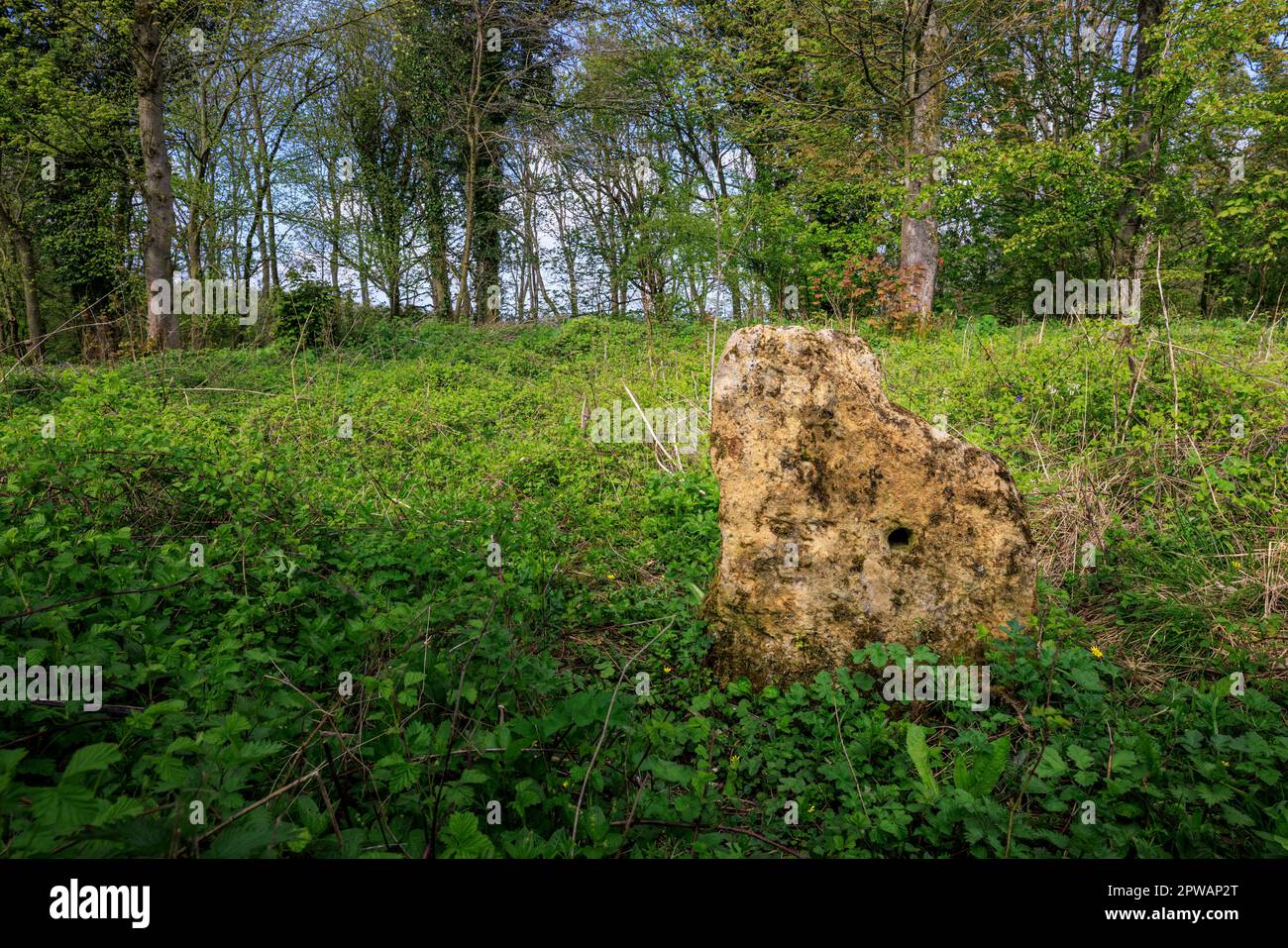 Kiftsgate court hi-res stock photography and images - Alamy