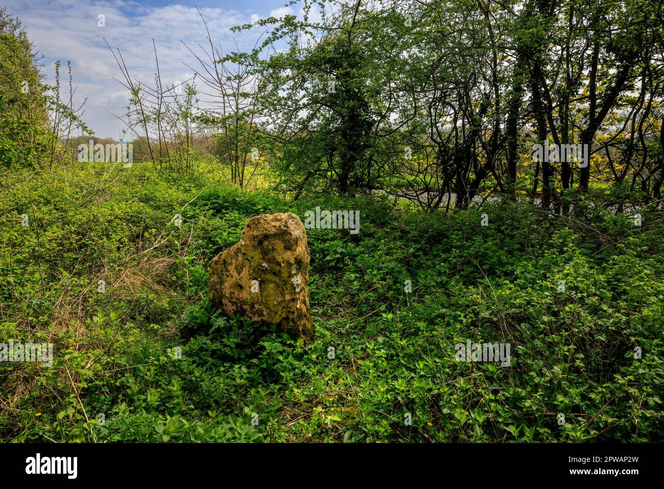 Kiftsgate court hi-res stock photography and images - Alamy