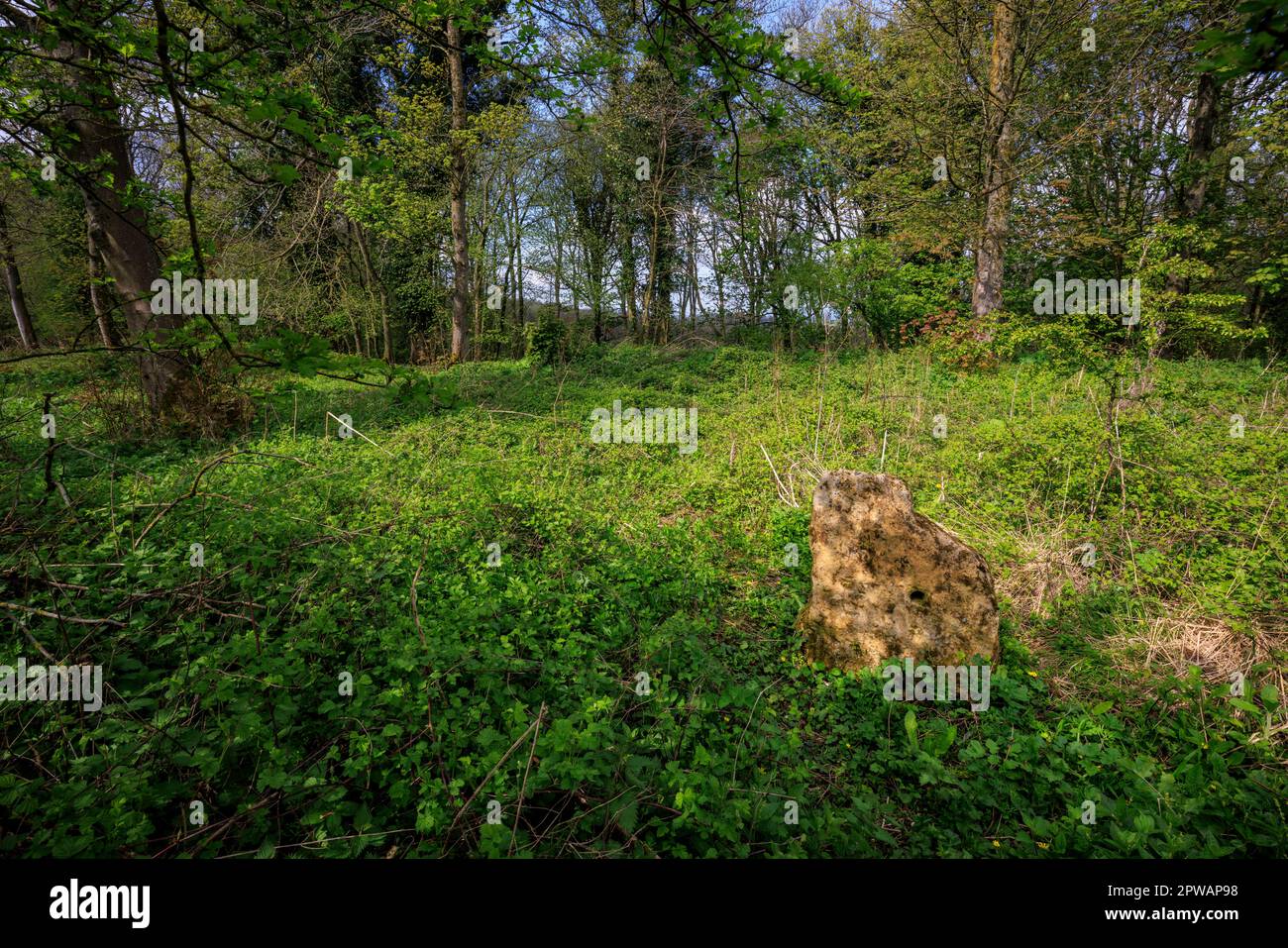 Kiftsgate court hi-res stock photography and images - Alamy