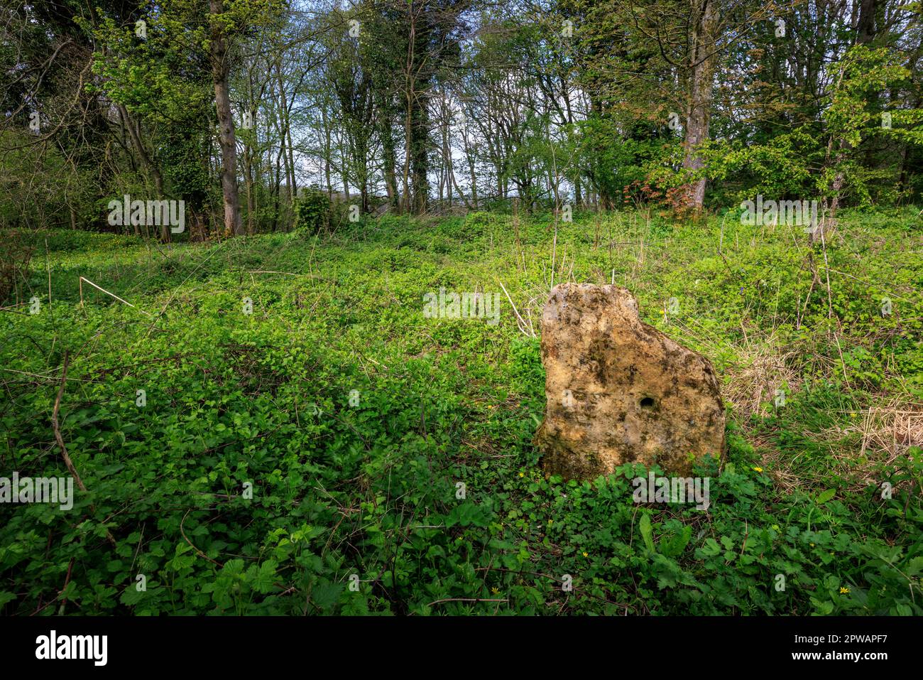 Kiftsgate court hi-res stock photography and images - Alamy