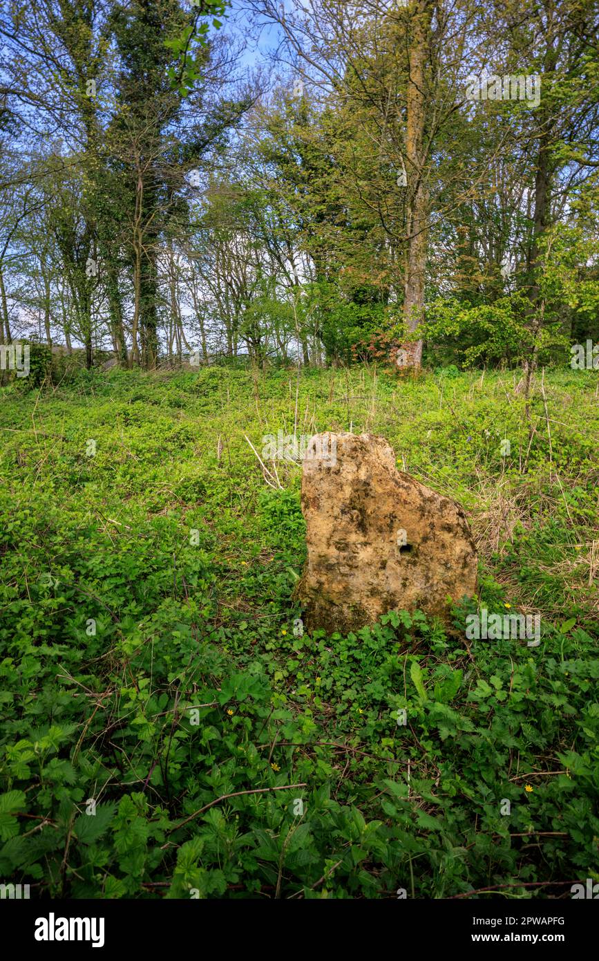 Kiftsgate court hi-res stock photography and images - Alamy