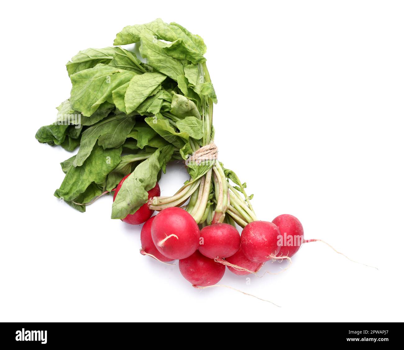 Fresh radishes with leaves on white background Stock Photo - Alamy
