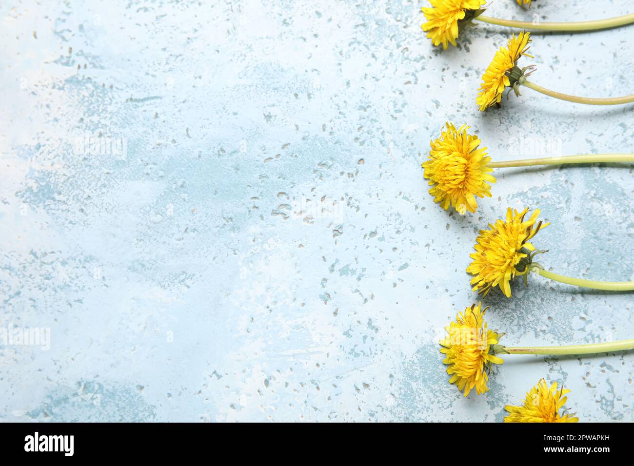 Gunge green background hi-res stock photography and images - Alamy