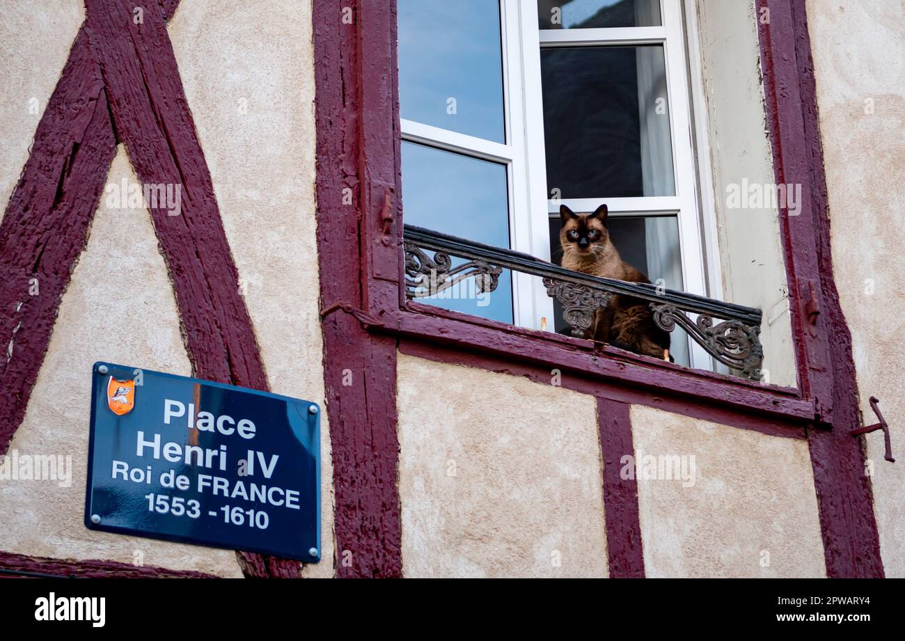 Cat In The Window In The Streets Of The Medieval City Vannes At ...