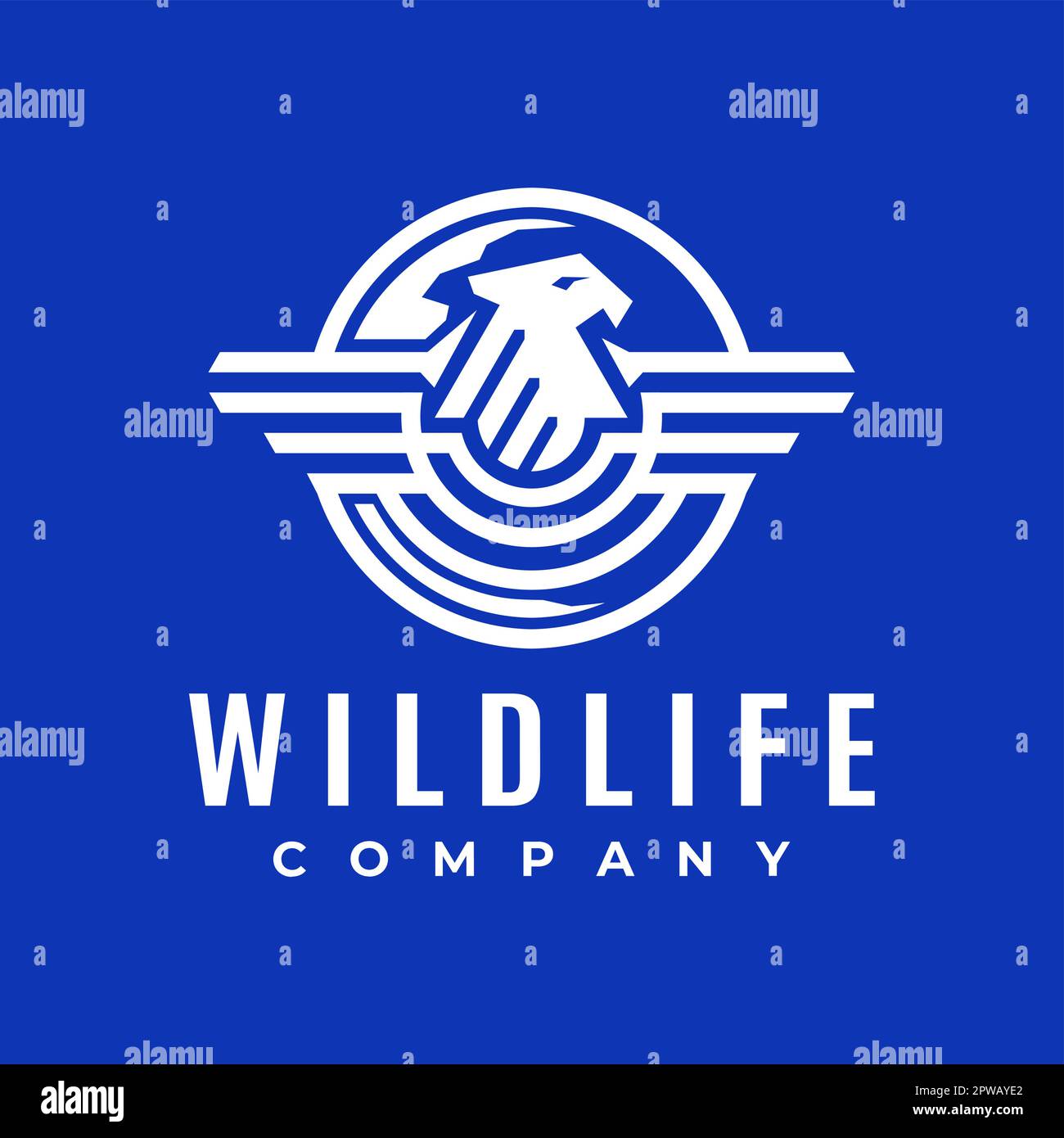 Modern flight eagle logo graphic vector. Minimal hawk bird mascot logo ...