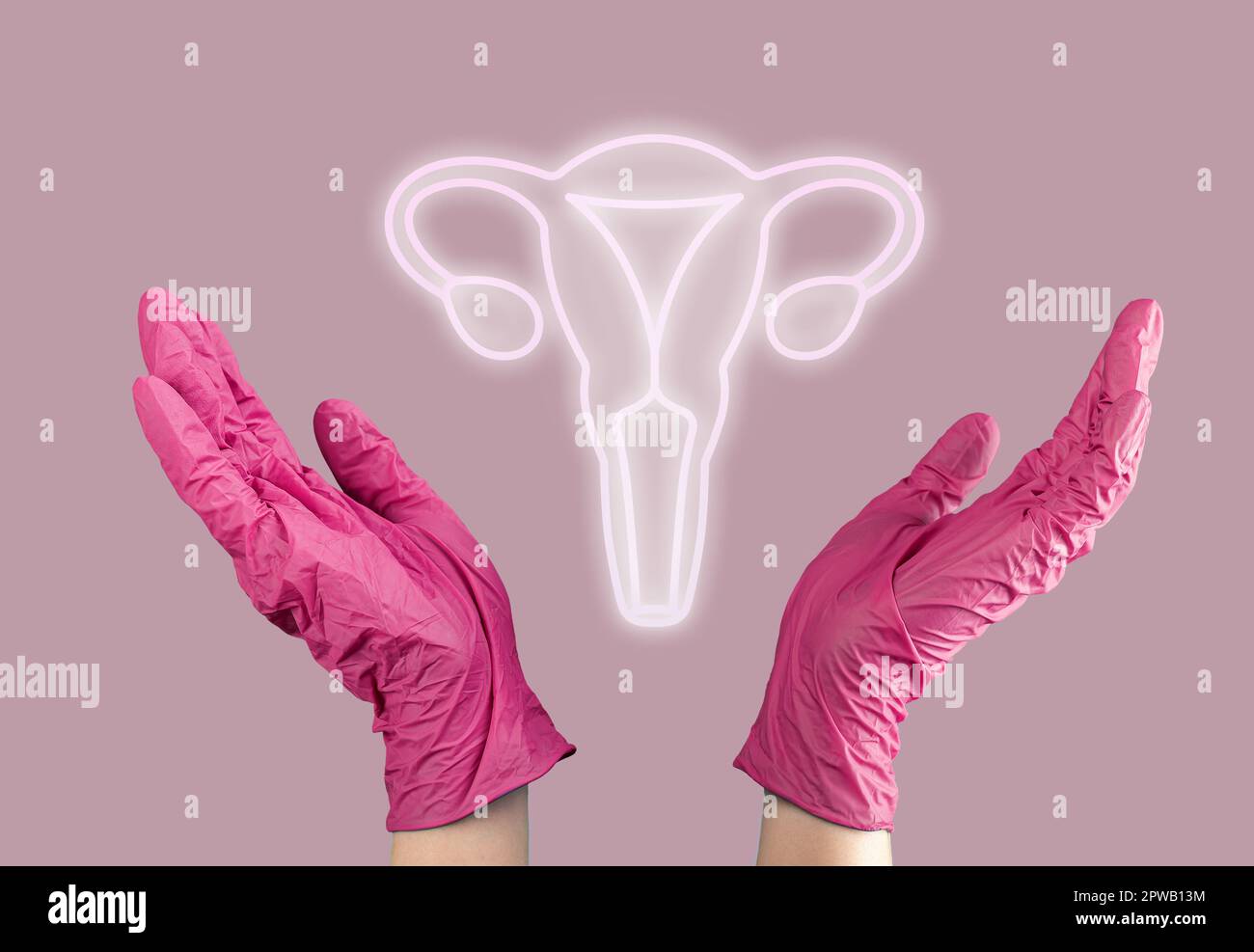 Womb organ diagnostic and health care concept Stock Photo - Alamy