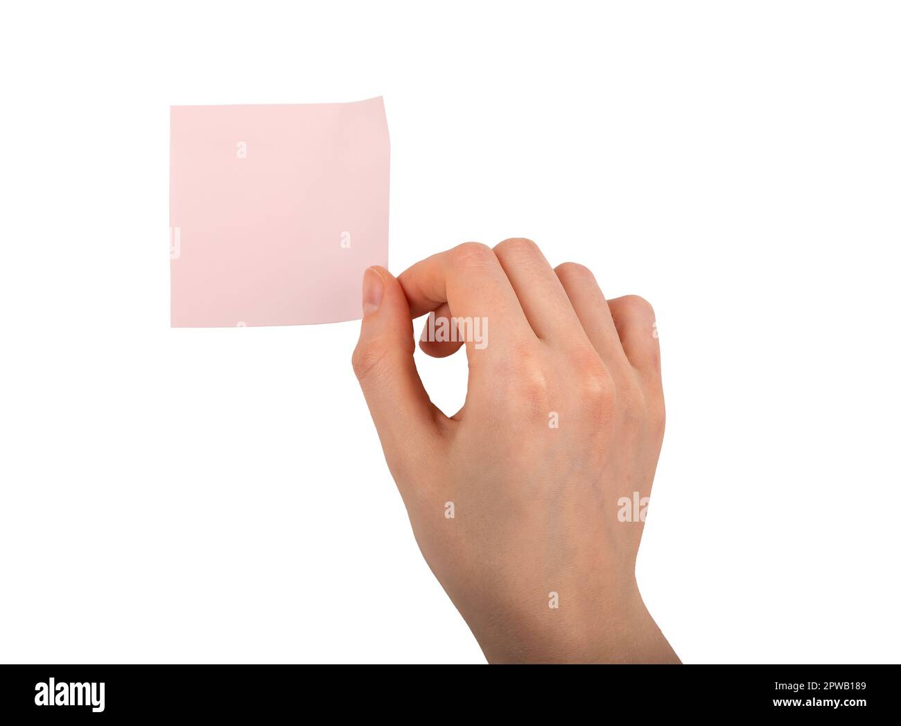 Hand holding pink sticky notes, blank memo sticker isolated on white ...