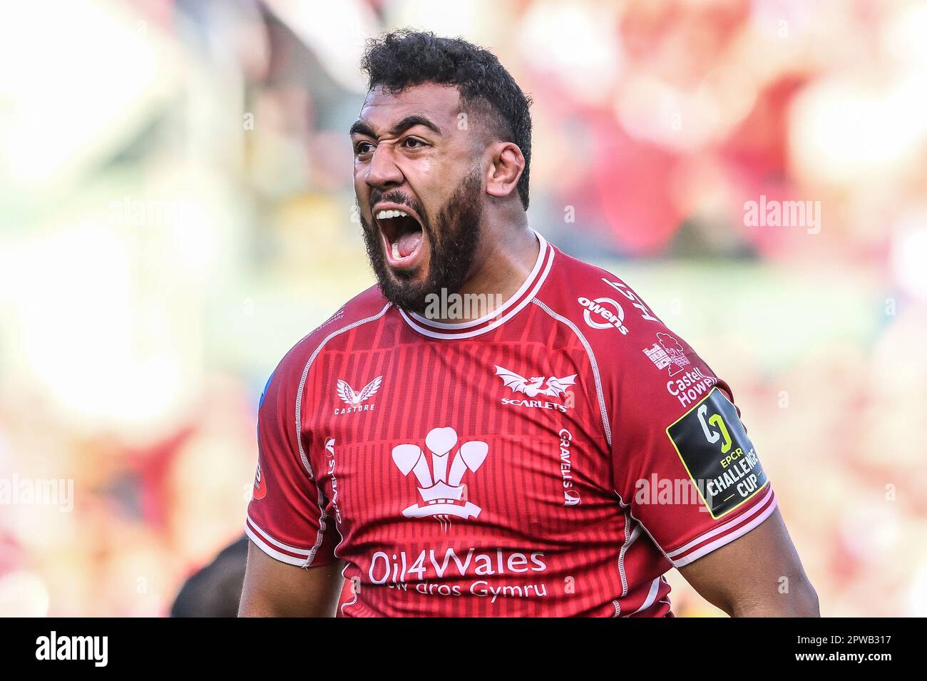 Carwyn tuipulotu hi-res stock photography and images - Alamy