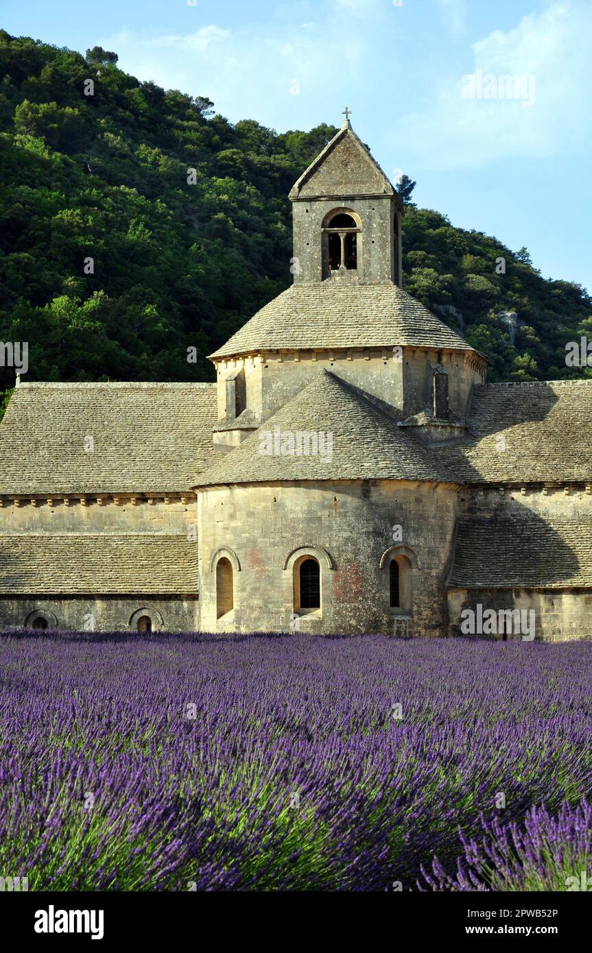 The Cistercian abbey of Senanque in Gordes is one of the 3 sisters of ...