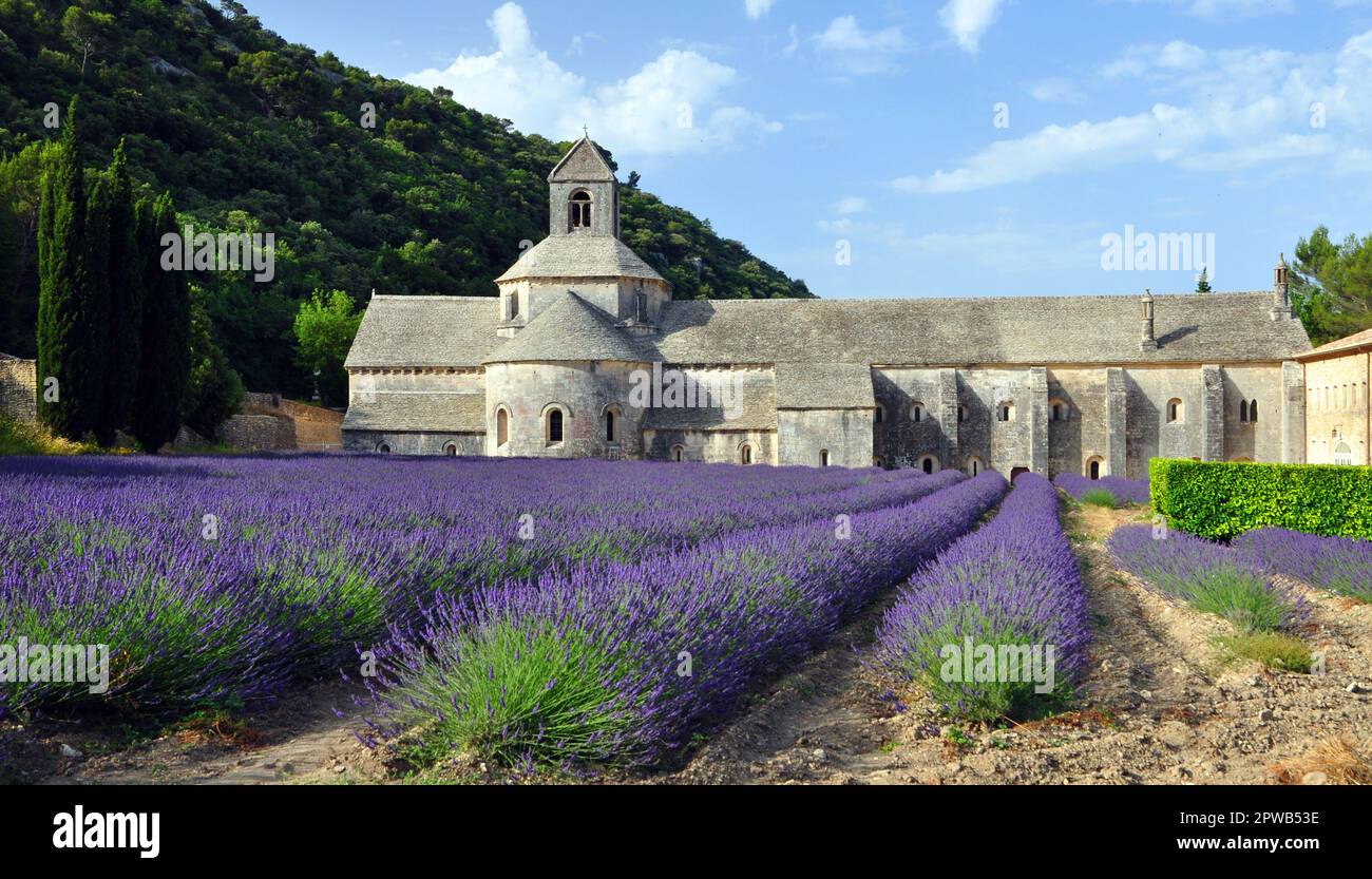 The Cistercian abbey of Senanque in Gordes is one of the 3 sisters of ...
