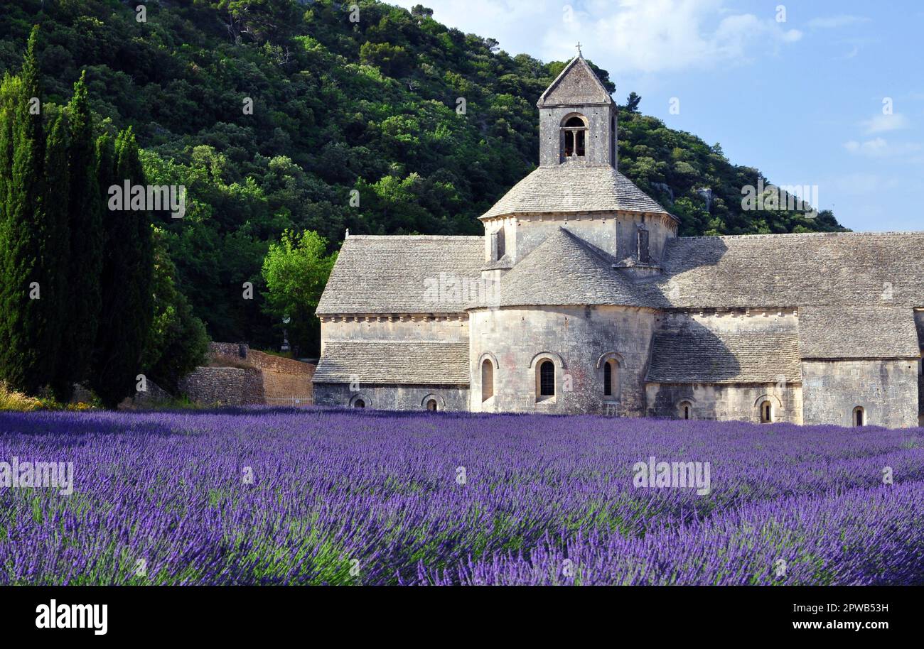 The Cistercian abbey of Senanque in Gordes is one of the 3 sisters of ...