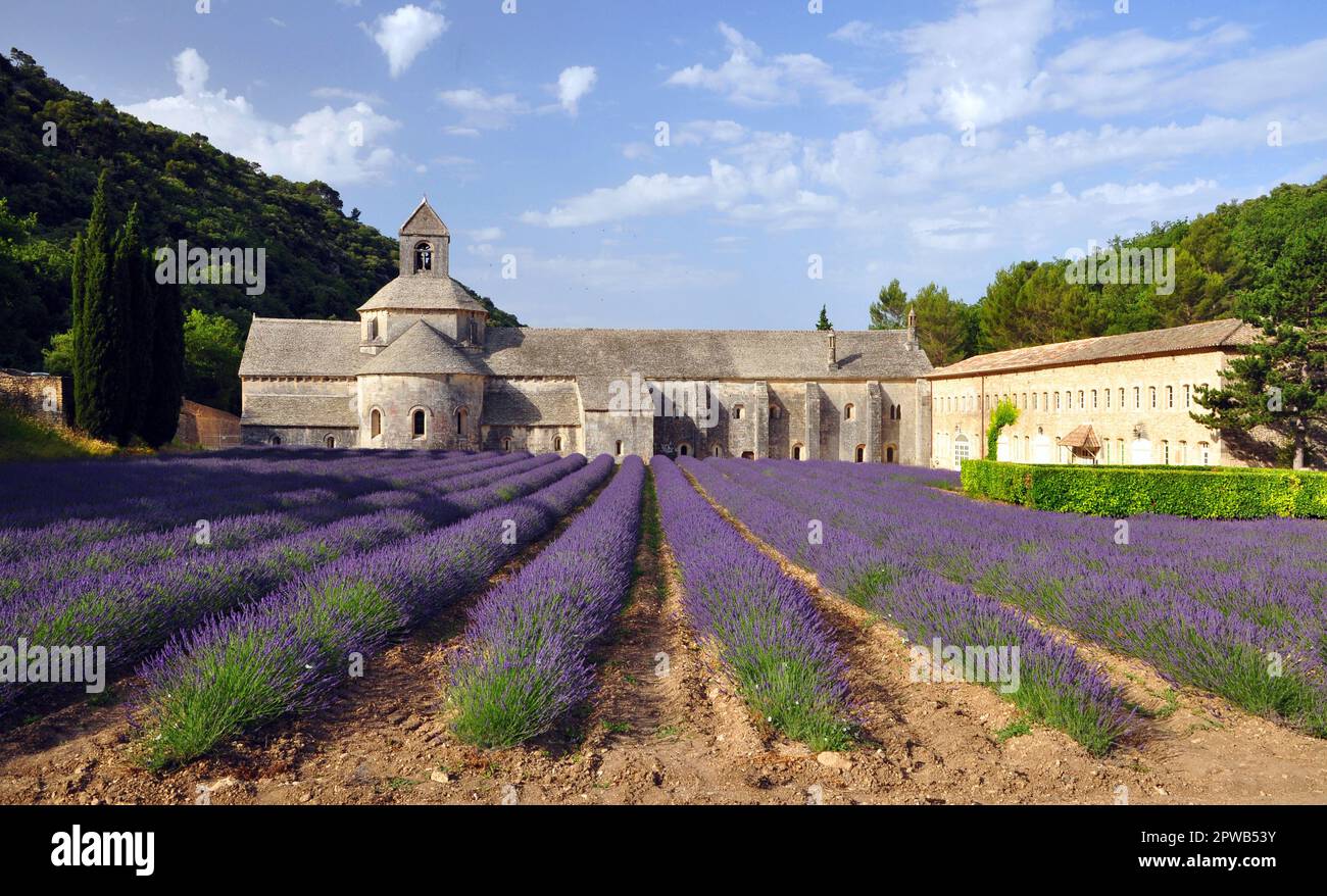 The Cistercian abbey of Senanque in Gordes is one of the 3 sisters of ...