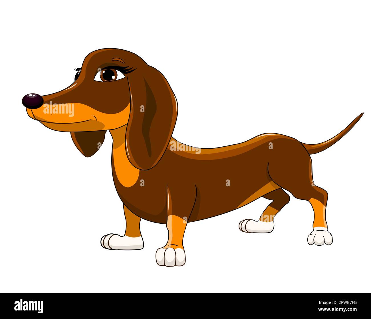 Dachshund dog dark brown Stock Vector Image & Art - Alamy