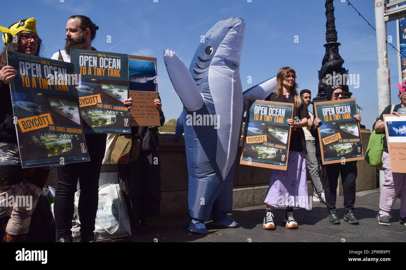 London, UK. 29th April 2023. Animal rights activists, one wearing a ...