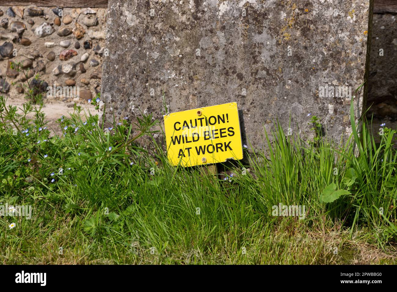 Caution, wild bees at work. Sign in a graveyard, against a headstone ...