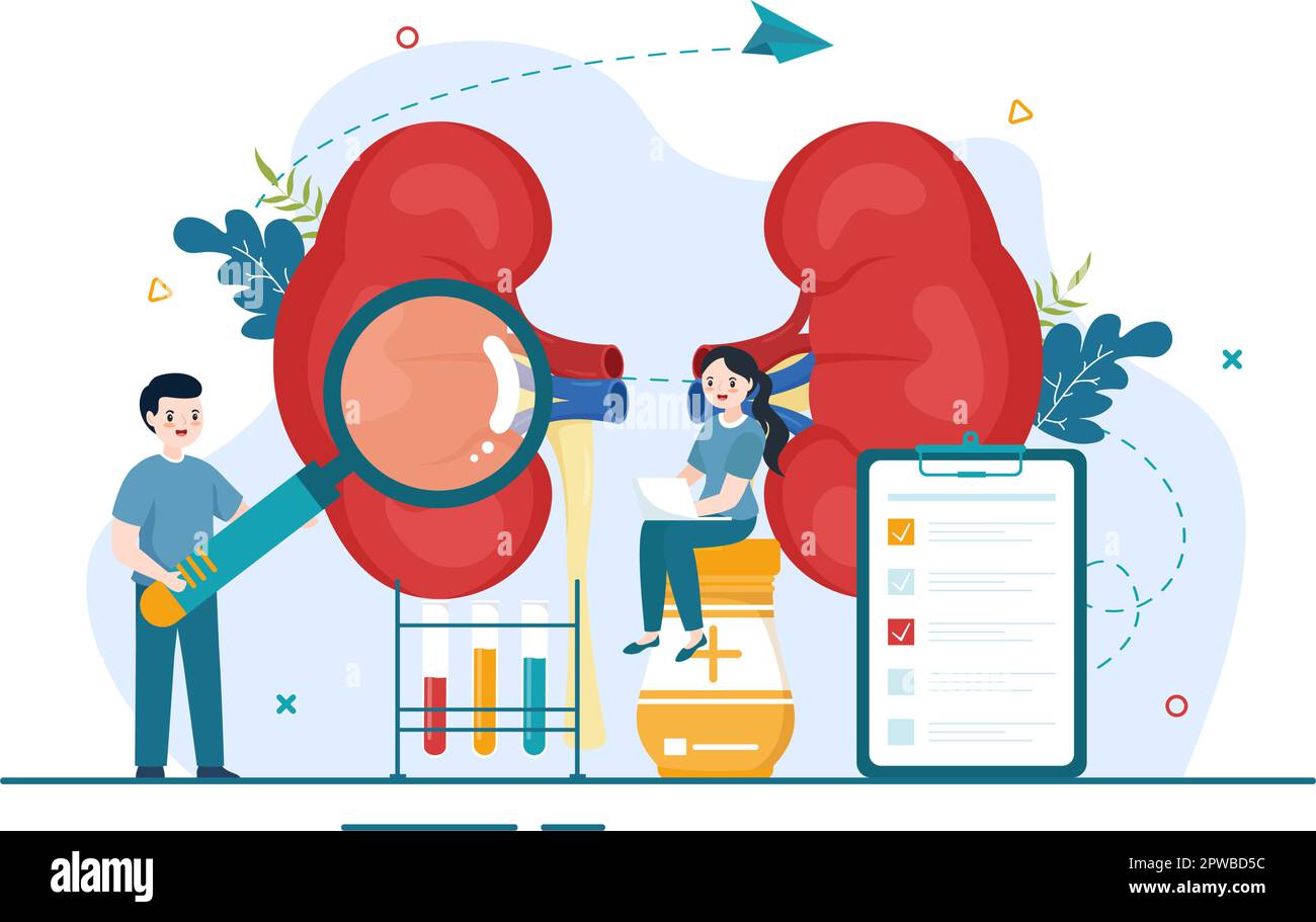 Nephrologist Illustration with Cardiologist, Proctologist and Treat ...