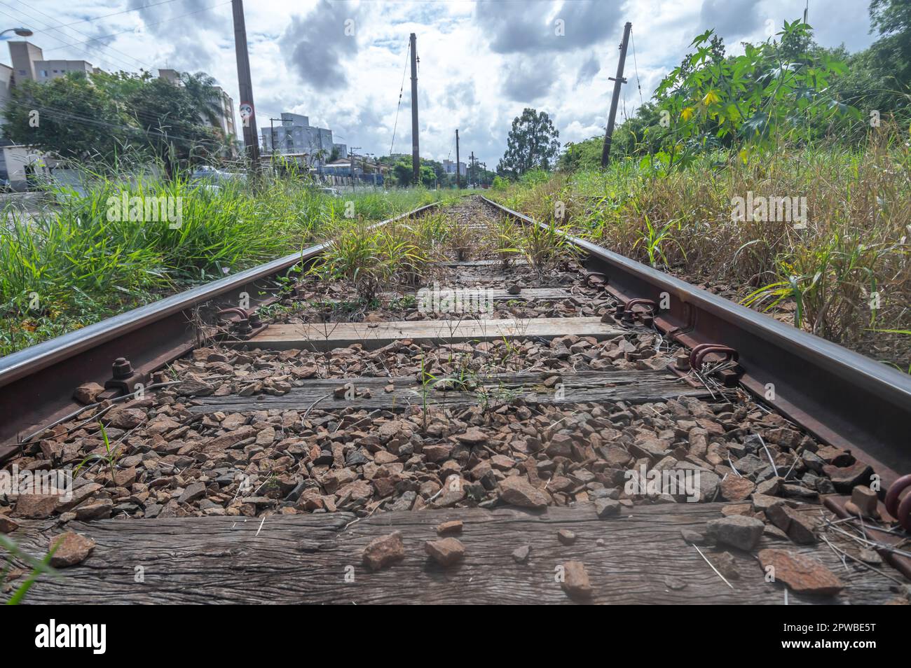 Abandoned train track with vegetation dominating the territory, sunny ...