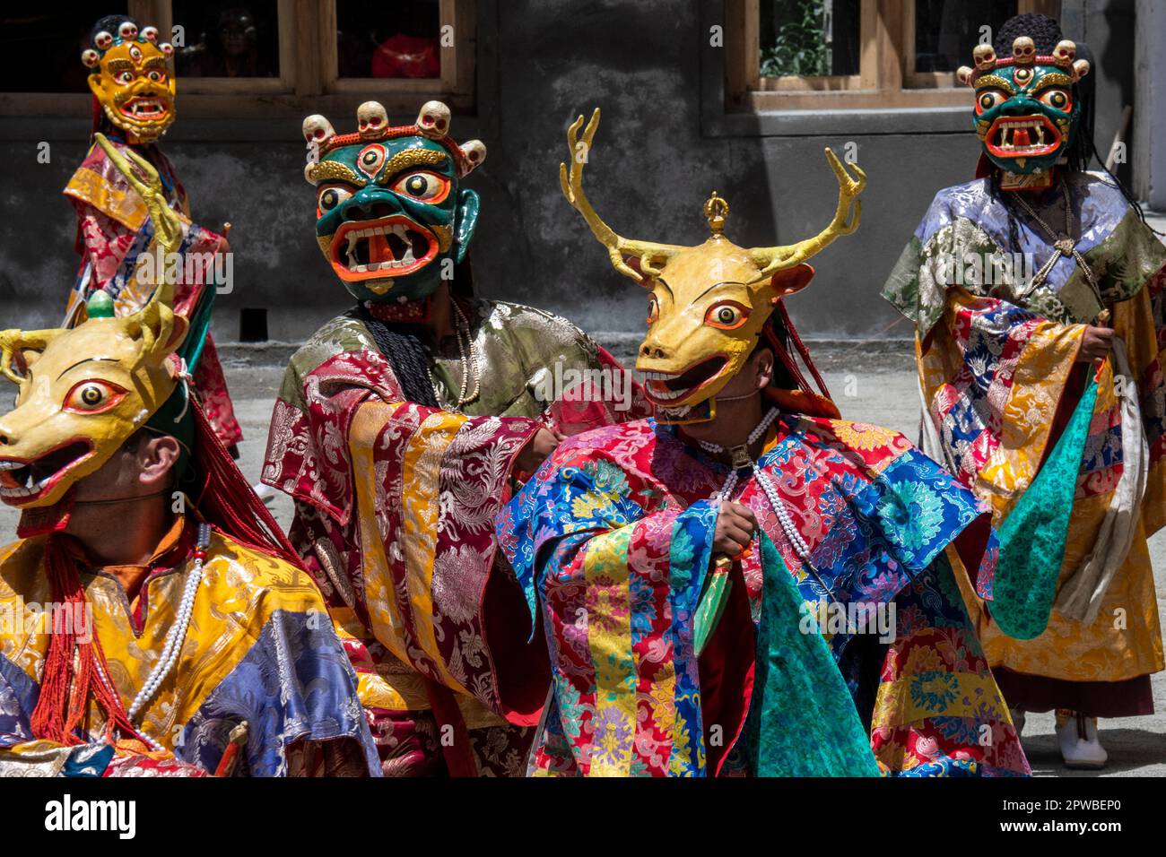 Masked Monks dance at the Phyang Monastery Festival in Ladakh, India ...