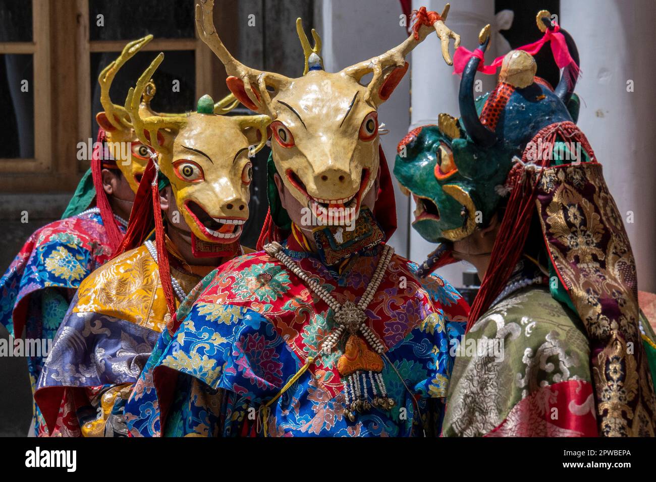 Masked Monks dance at the Phyang Monastery Festival in Ladakh, India ...
