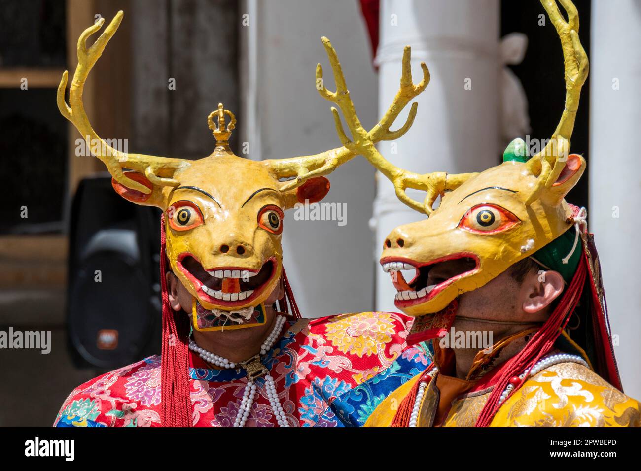 Masked Monks at the Phyang Monastery Festival in Ladakh, India Stock ...