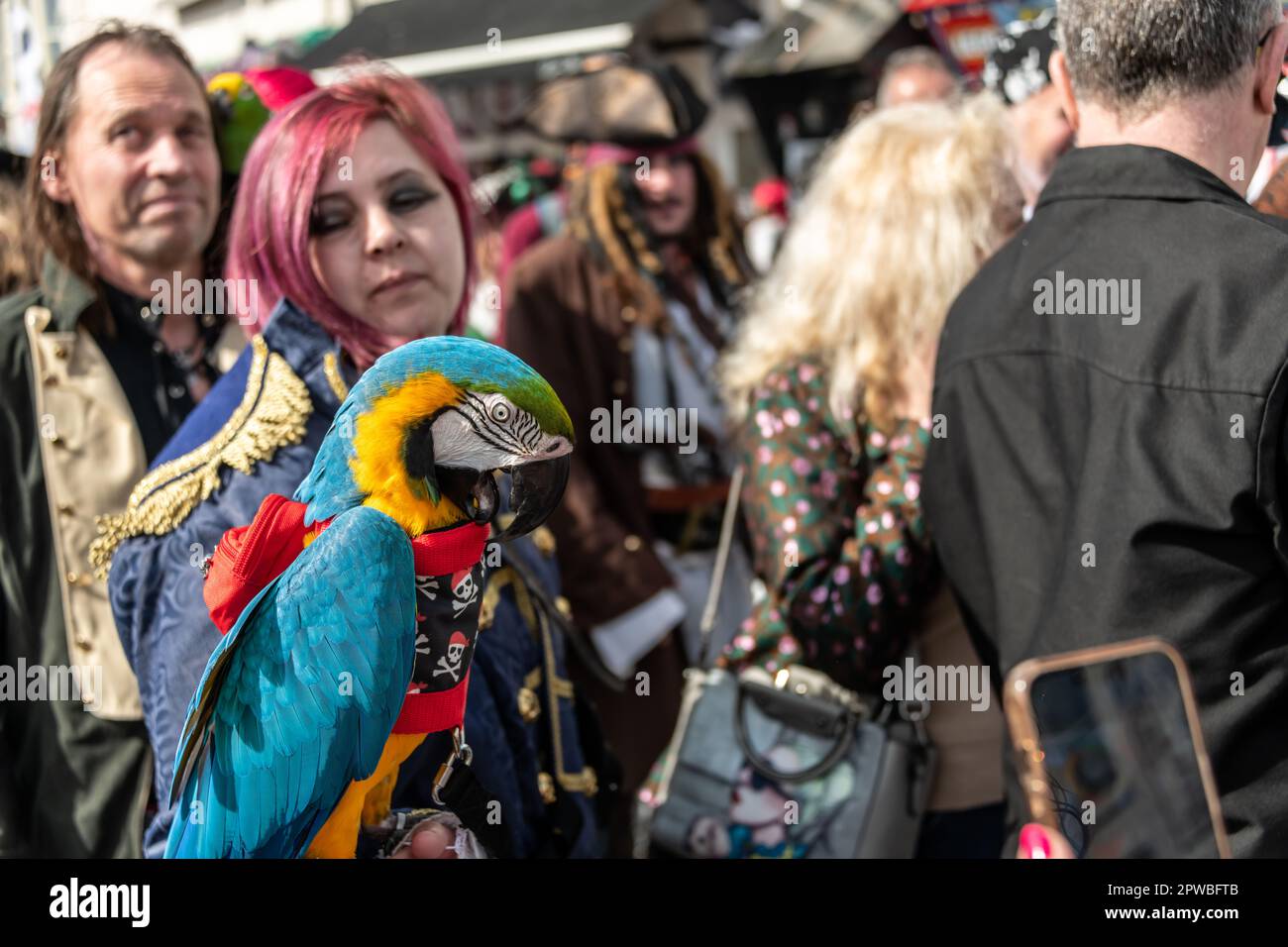 Brixham, UK. 29th Apr, 2023. Thousands of people, most dressed as ...