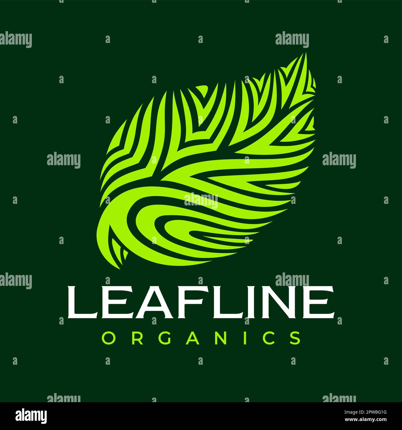 Luxury ornate line leaf logo design branding. Green nature leaves ...