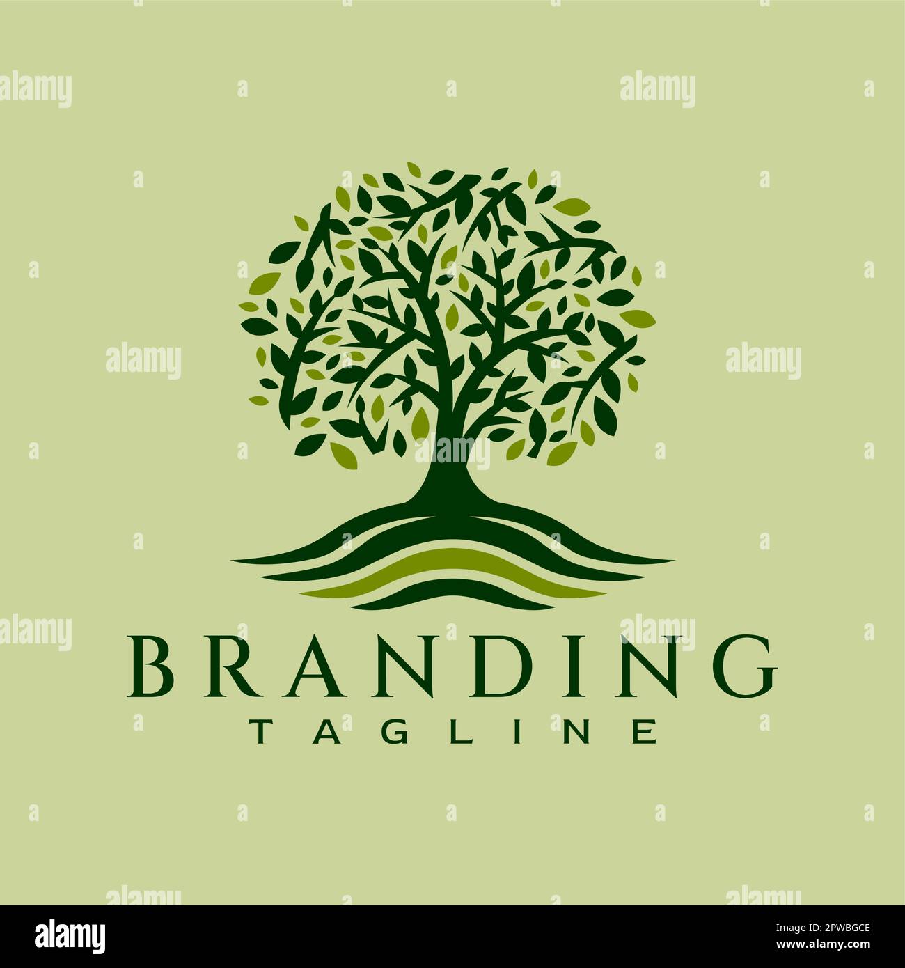 Oak tree logo premium hi-res stock photography and images - Alamy