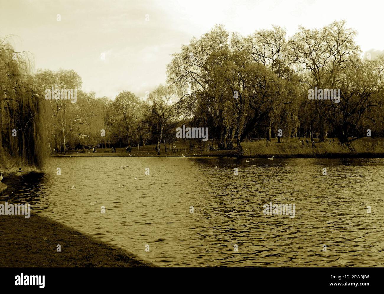 Historic pond in front of Buckingham palace london england Stock Photo ...