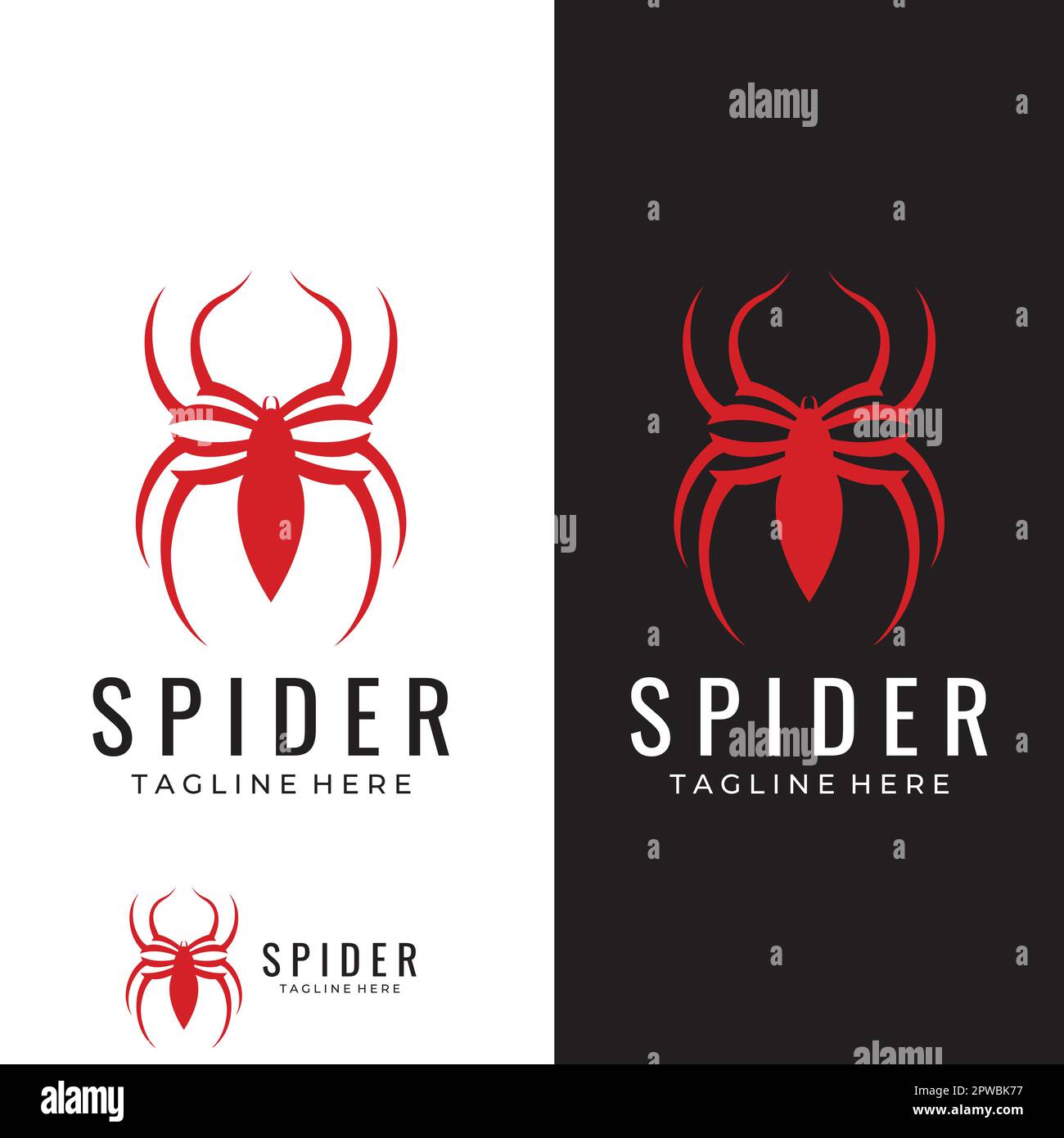 Spider and web with negative space Stock Vector Images - Alamy