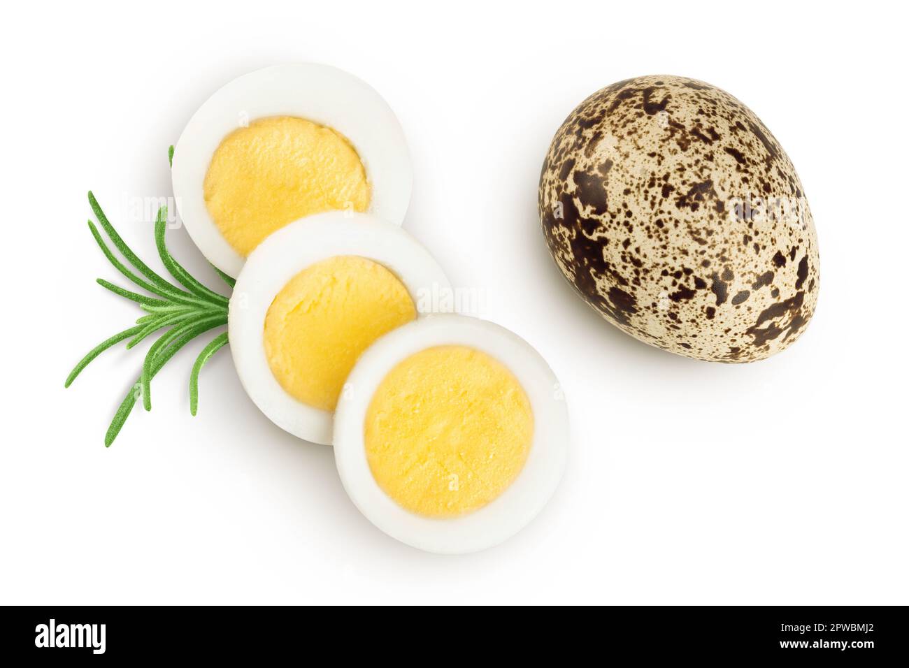 boiled quail egg isolated on white background with full depth of field ...