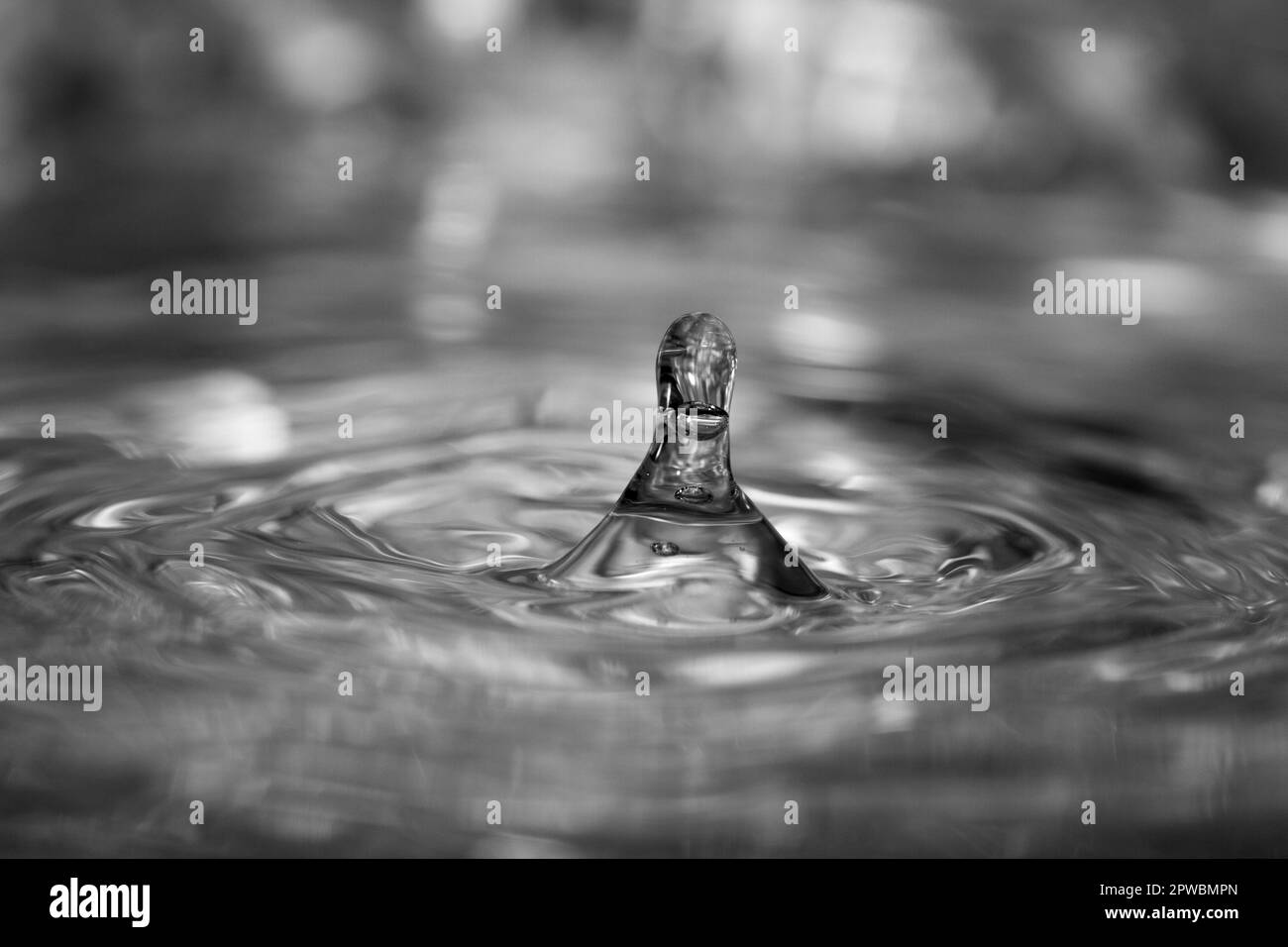 Splash Art Digital Water Drop Control at Jai Reading blog