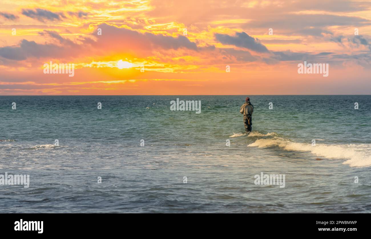 Sea angler fish hi-res stock photography and images - Alamy