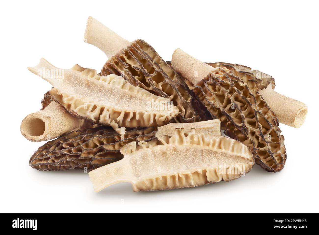 raw morel mushroom isolated on white background with full depth of ...
