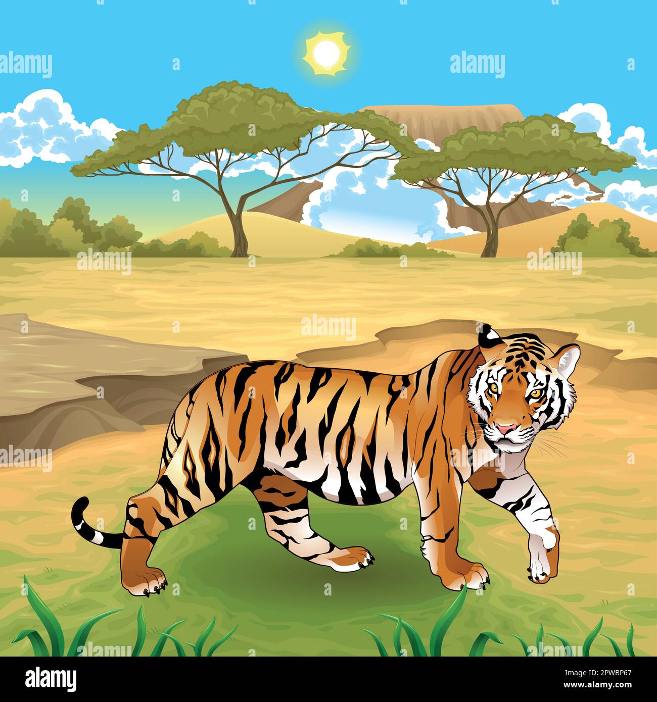 African landscape with tiger. Vector illustration Stock Vector Image ...