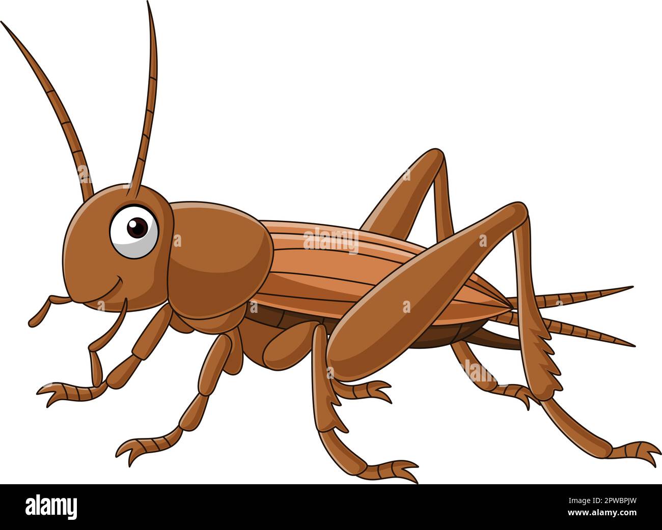 Cartoon grasshopper on white background Stock Vector Image & Art - Alamy